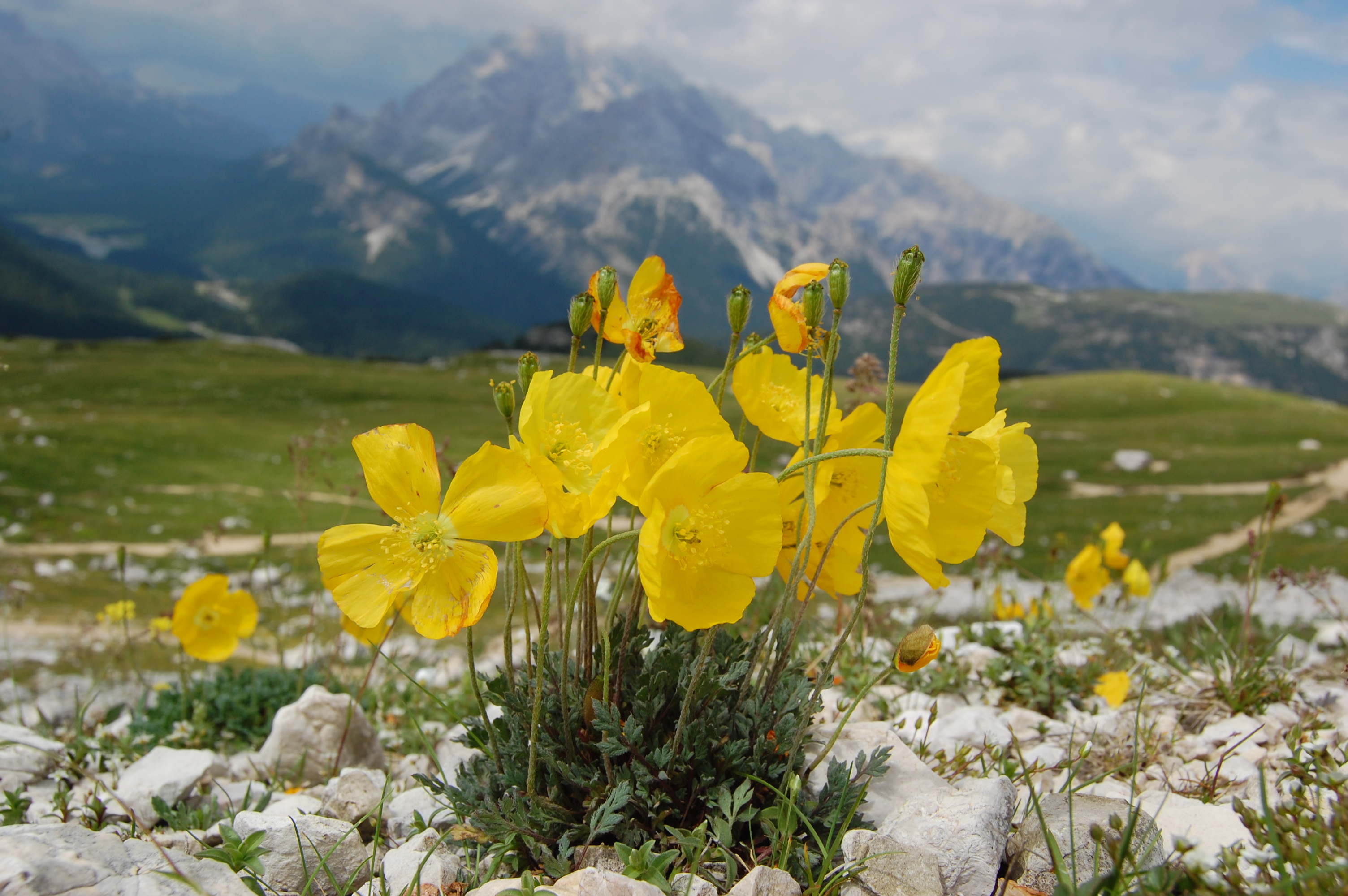 Trekking in the Eastern Alps - Jim Jermyn